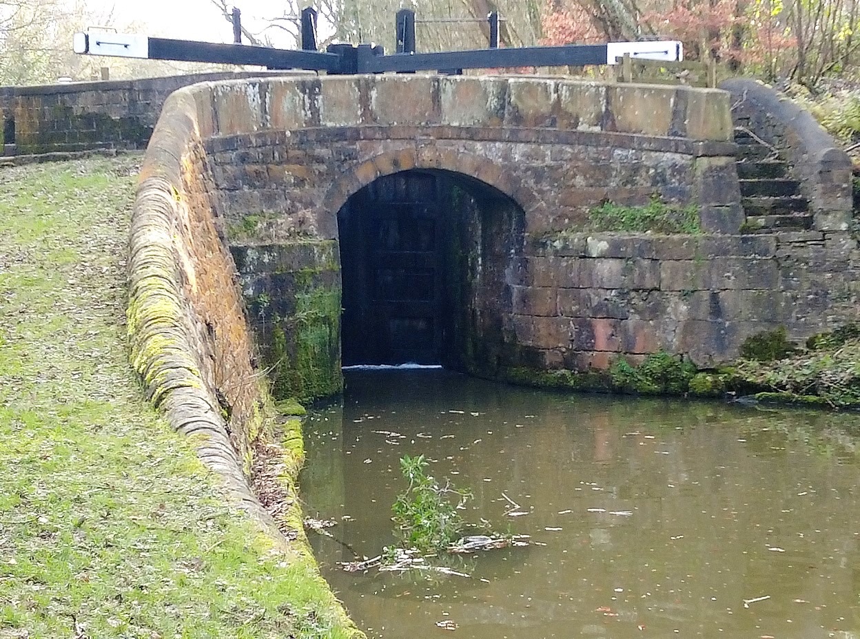 Waterside Scenes | DJI FORUM